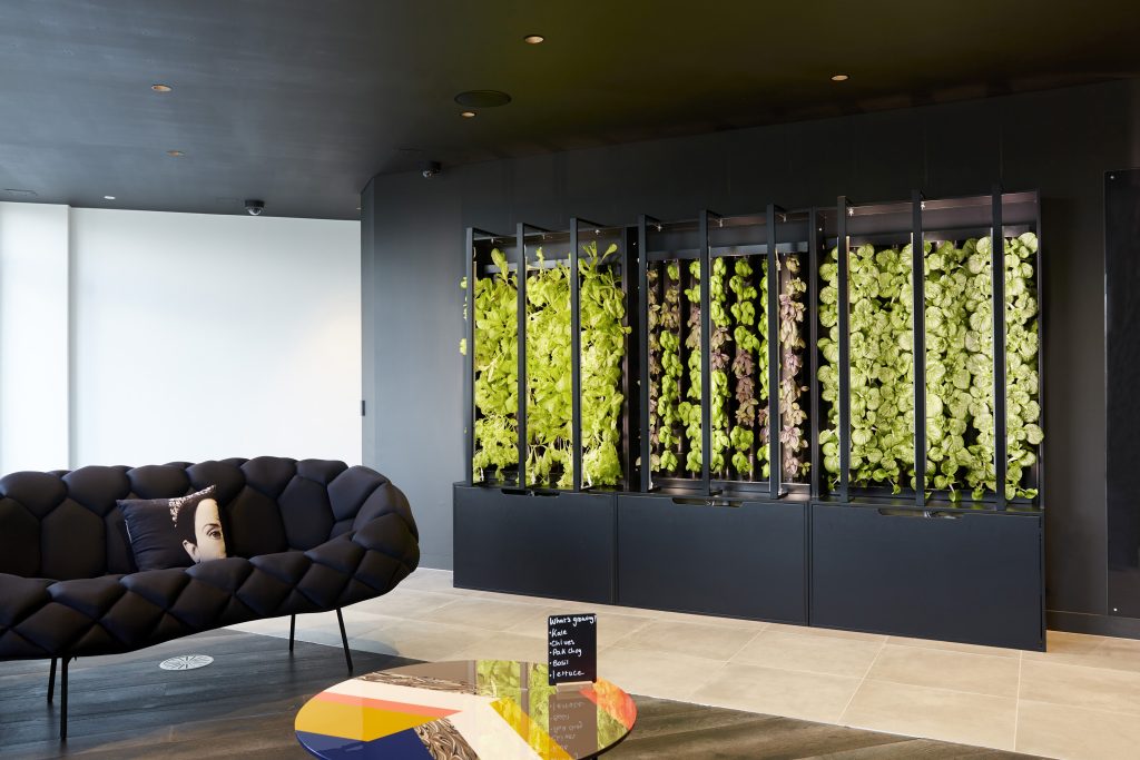 Square Mile Farms: Turning Grey Space into Green with Community ...