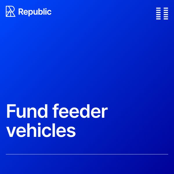 Fund Feeder Vehicles (The LP Access Fund) - Republic Europe Academy